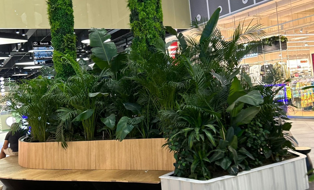 Plante artificiale mari – Roberto Rossi