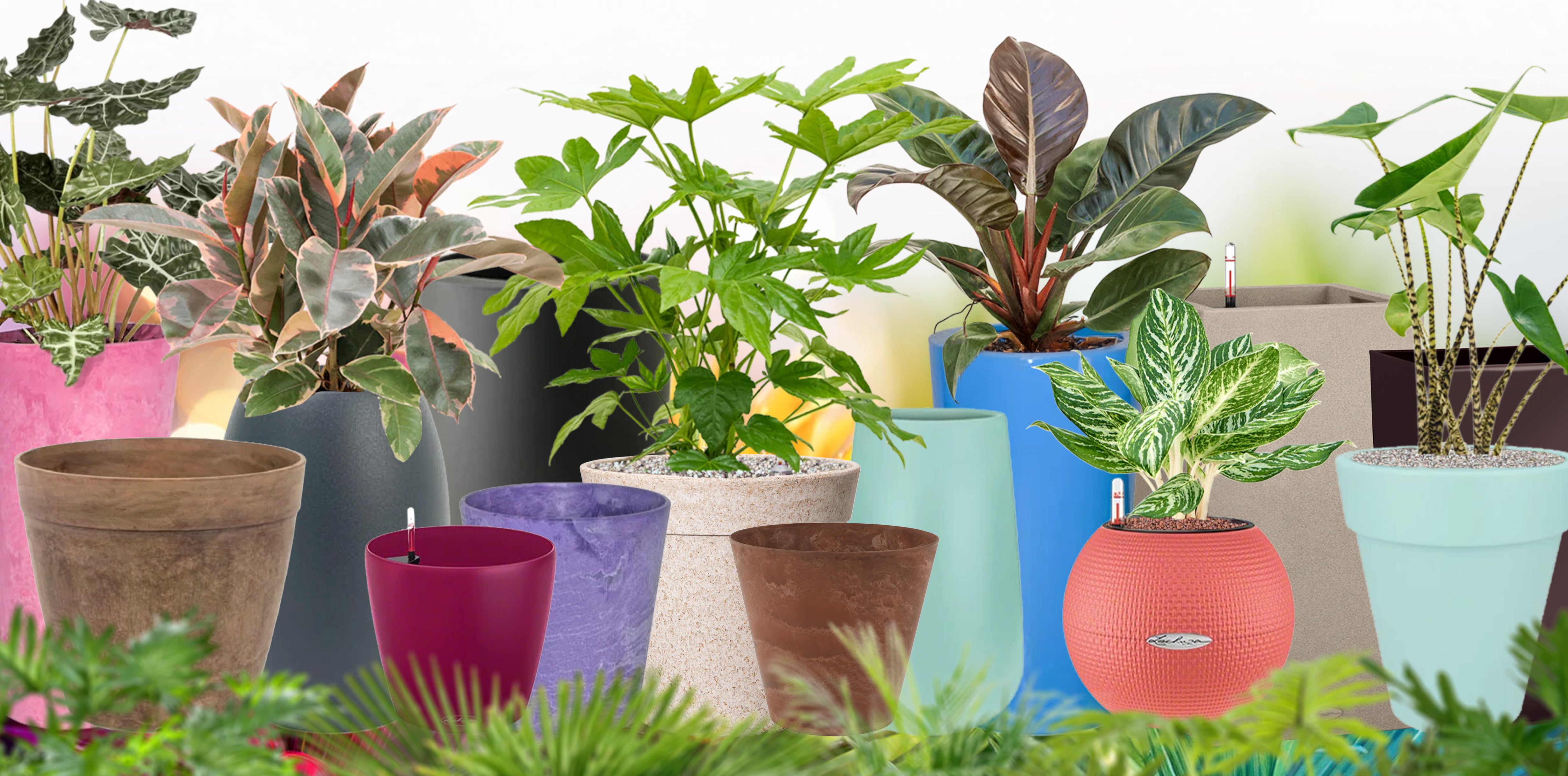 Ghivece plastic – Roberto Rossi