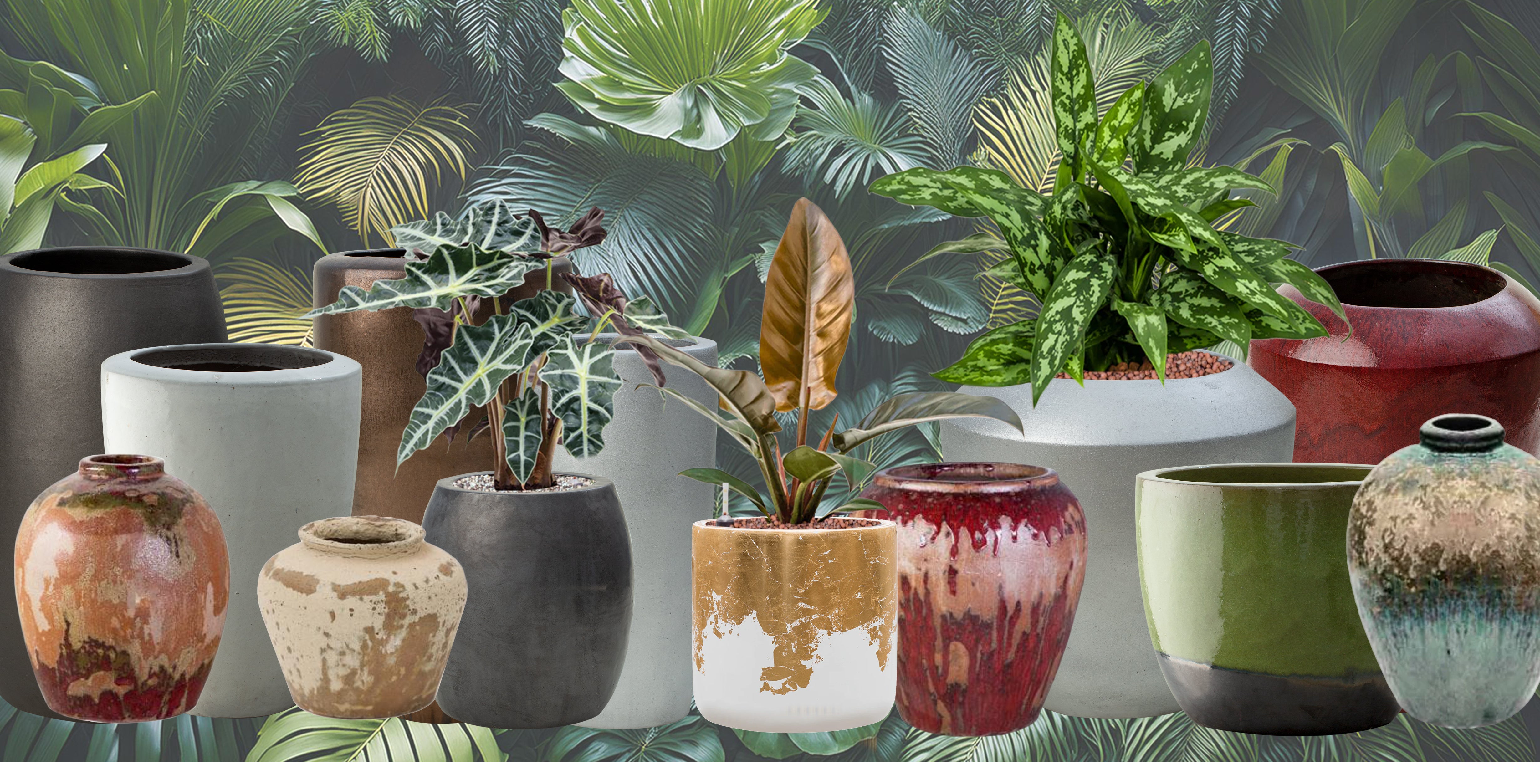 Ghivece din ceramica - Descopera zeci de produse premium – Roberto Rossi