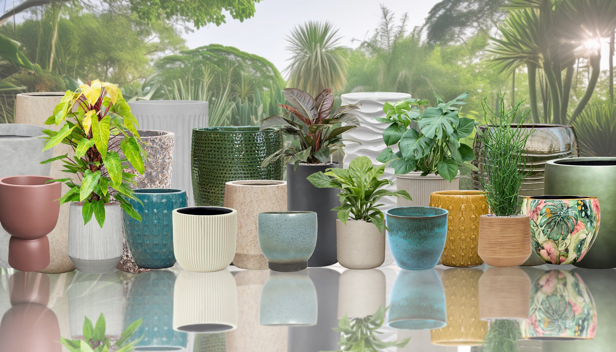 Ghivece decorative – Roberto Rossi