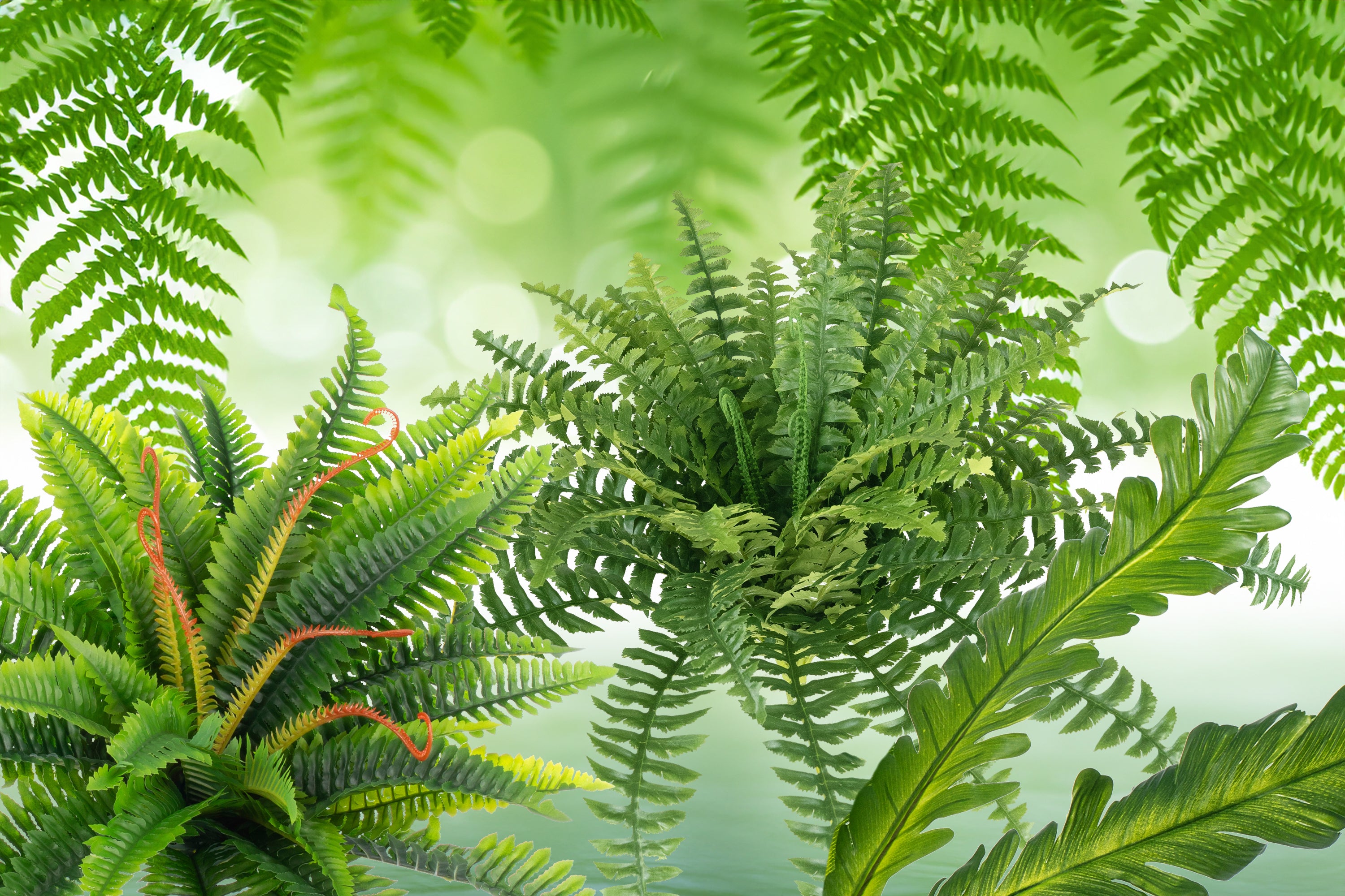 Ferigi artificiale - de exterior si interior – Roberto Rossi