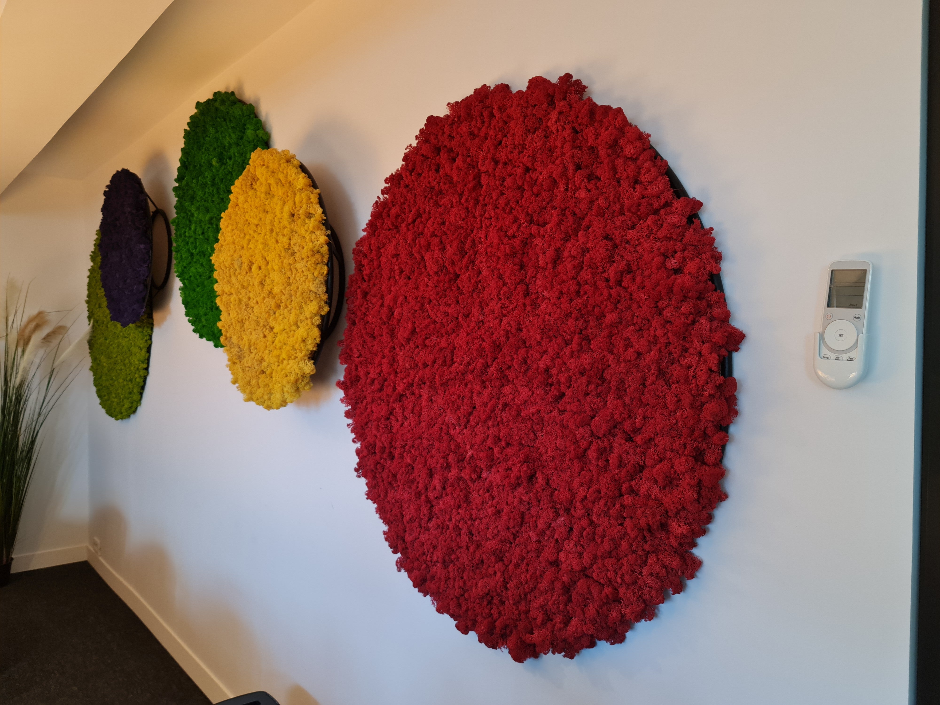 Cerc simplu cu licheni conservati D110.5xH8cm – Roberto Rossi