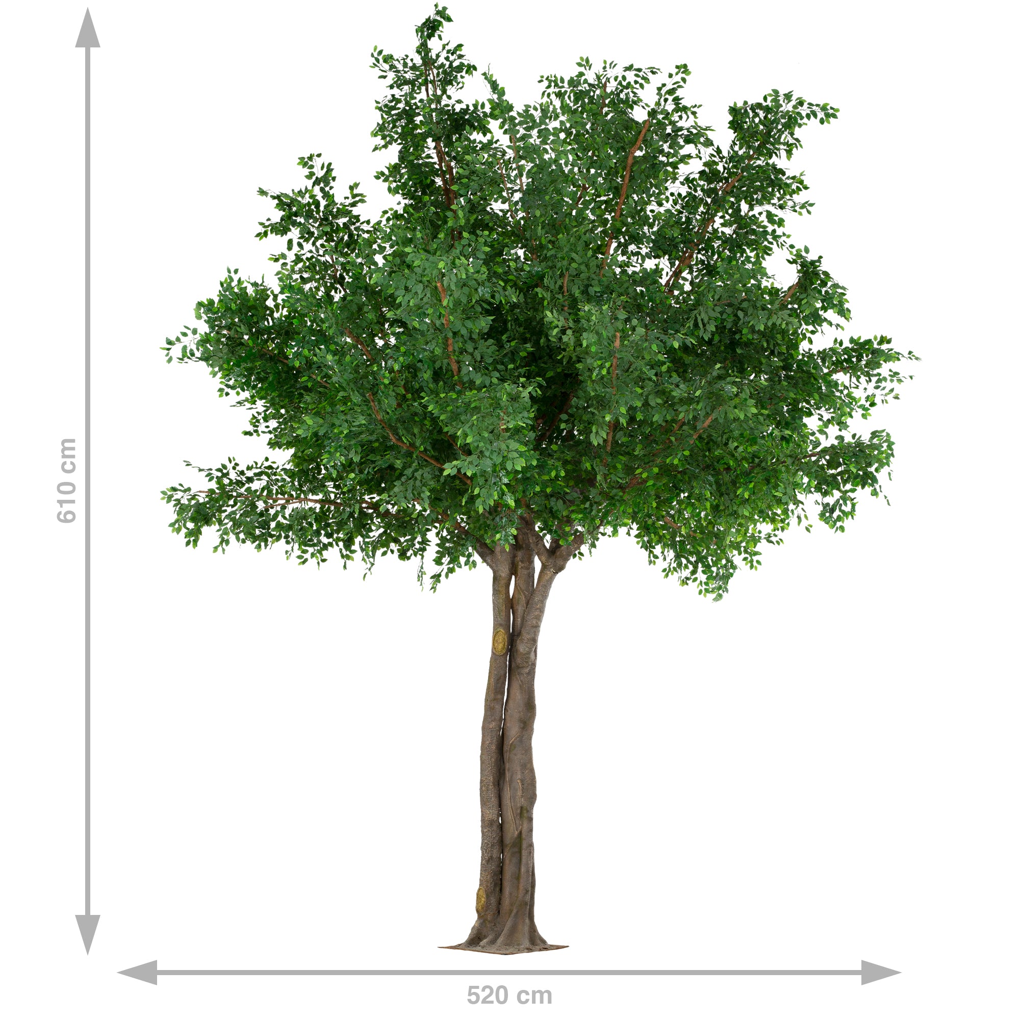 Copac artificial H610cm Ficus gigant. coroana D490-520cm – Roberto Rossi