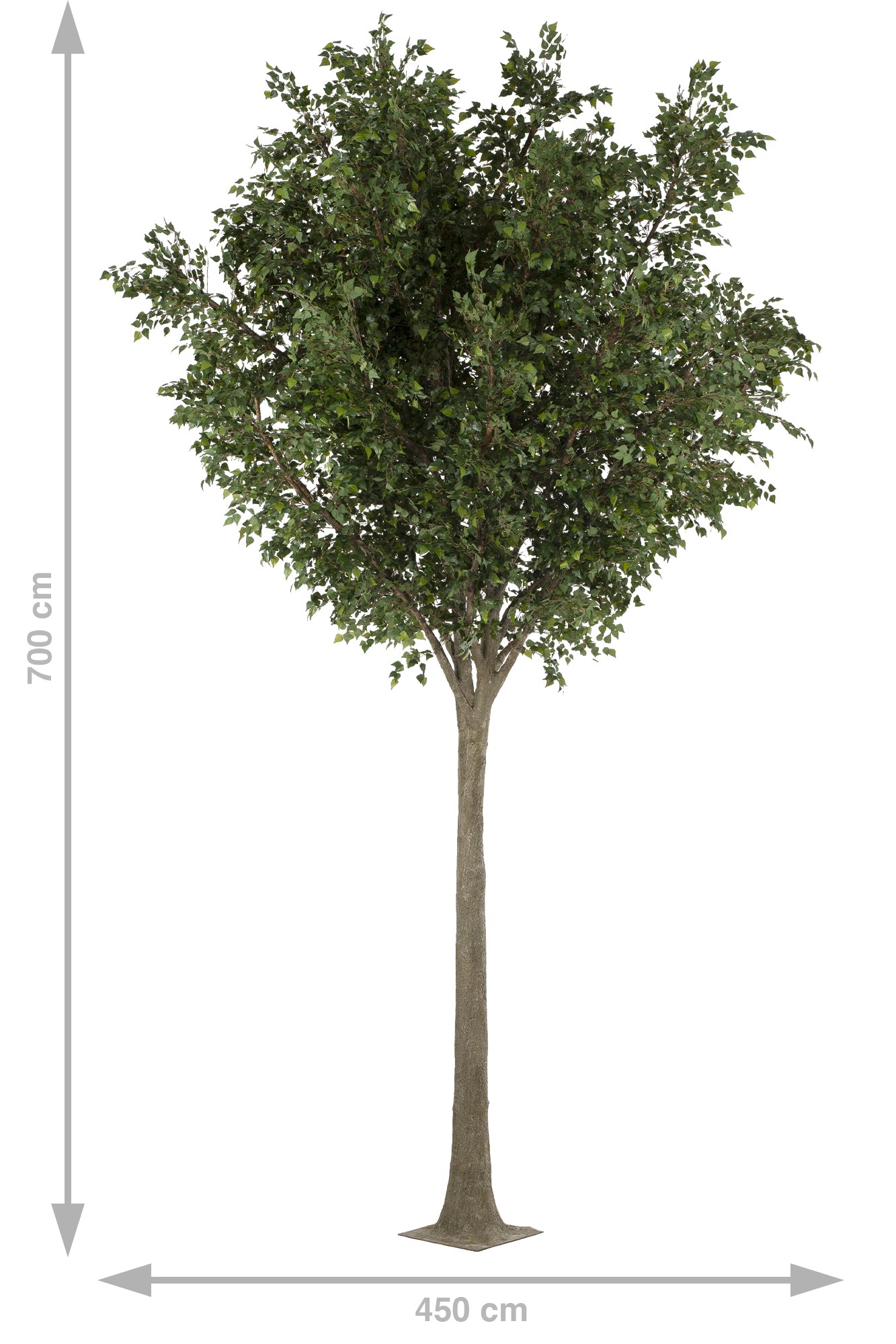 Copac artificial H700cm Mesteacan gigant. coroana D450cm – Roberto Rossi