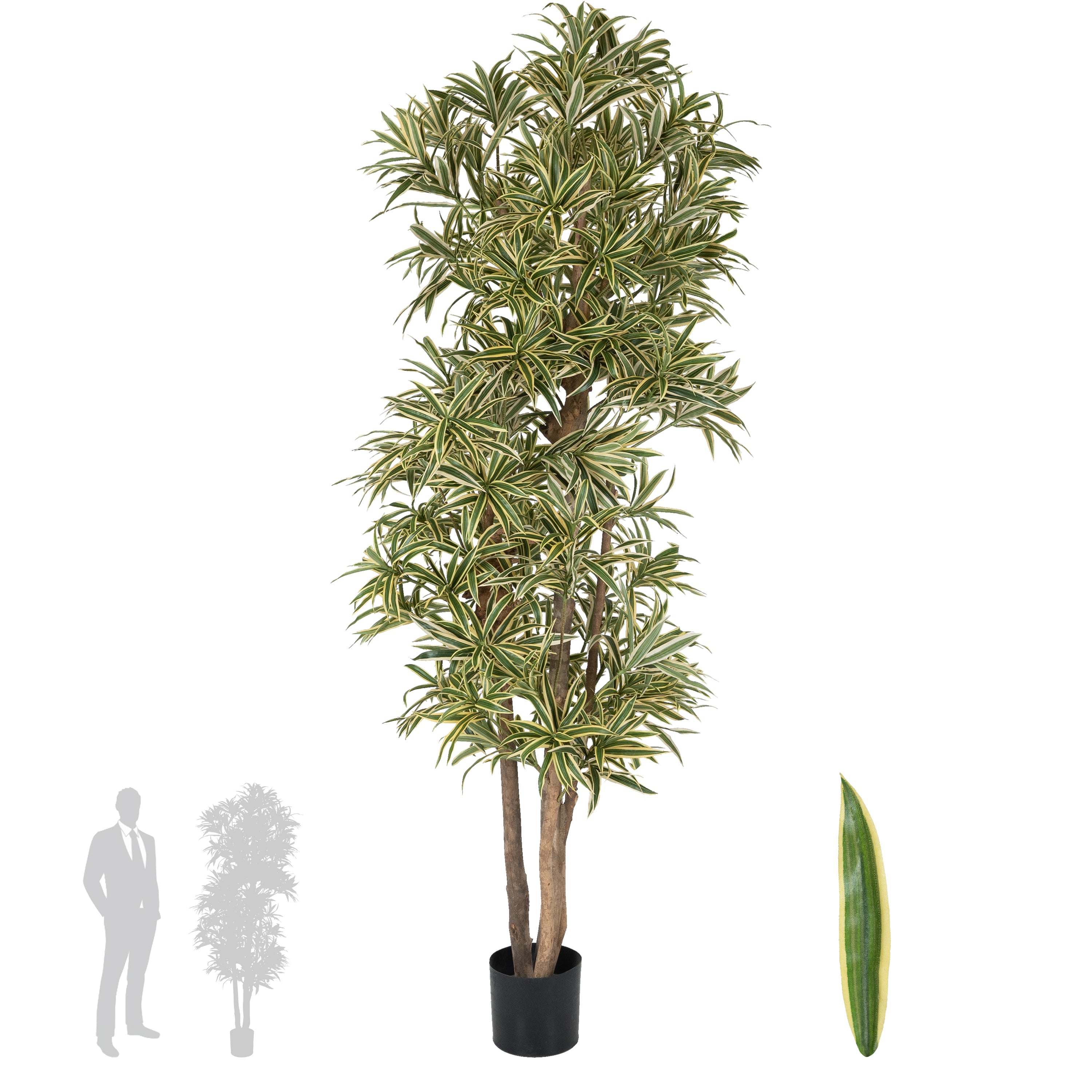 Dracaena artificiala Reflexa variegata cu frunze verzi cu galben H185 ...