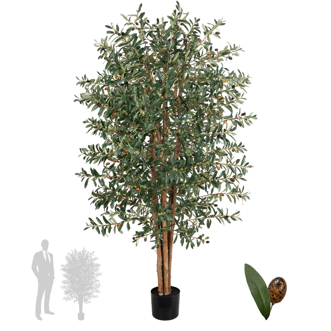 Magazin Online de Plante si Flori Artificiale – Roberto Rossi