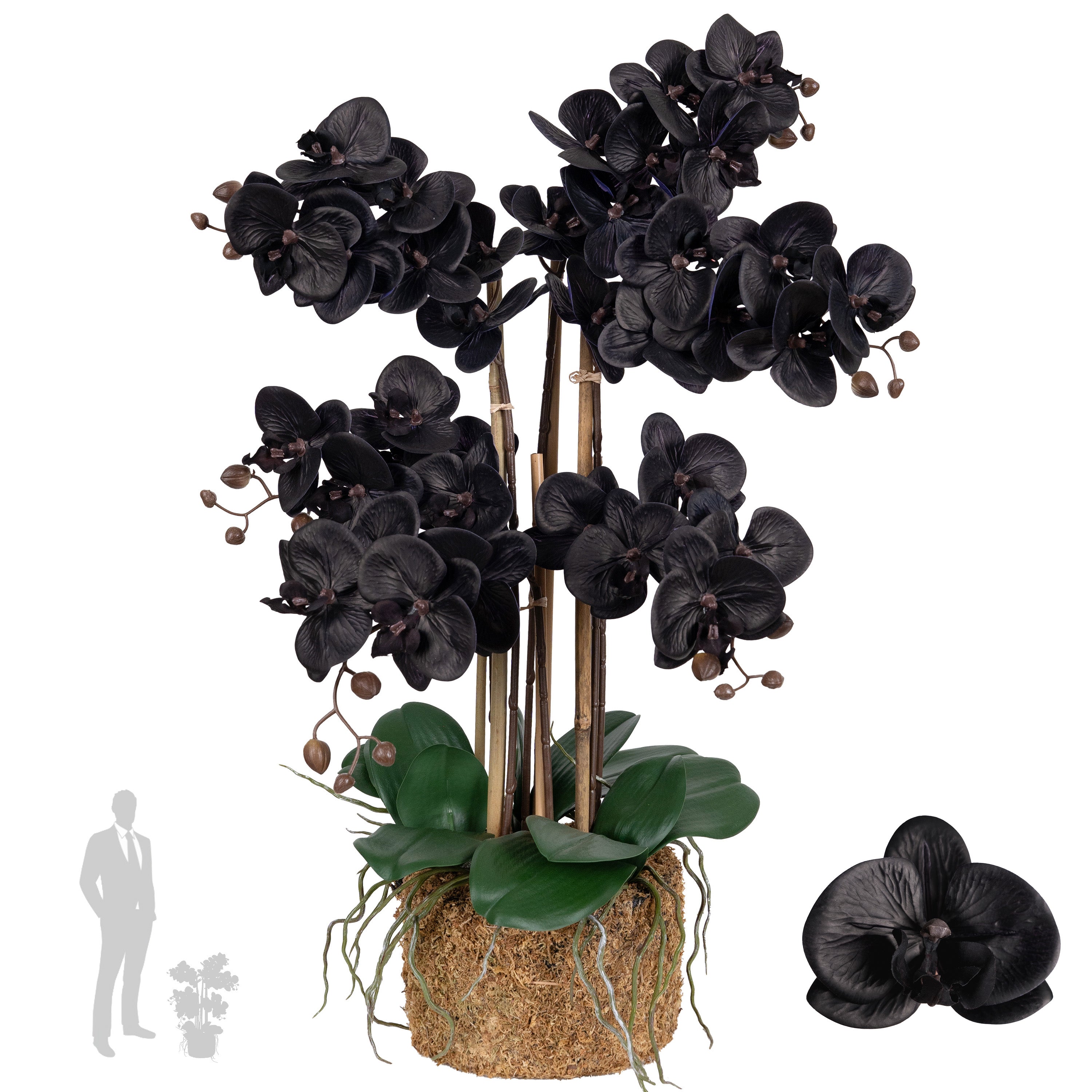 Orhidee artificiala neagra cu aspect natural H66 cm cu 6 tulpini cu fr ...