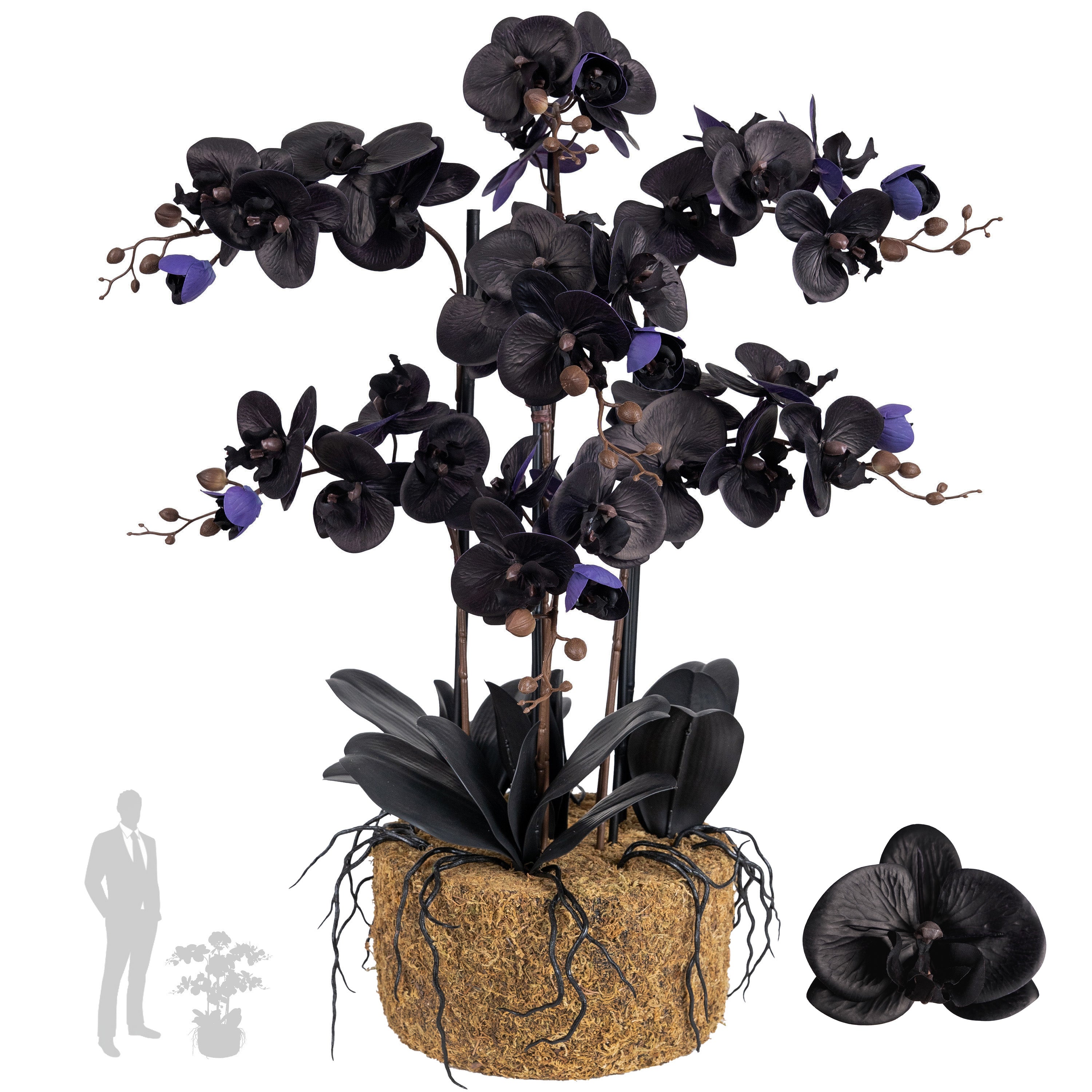 Orhidee artificiala neagra cu aspect natural H76 cm cu 7 tulpini ...