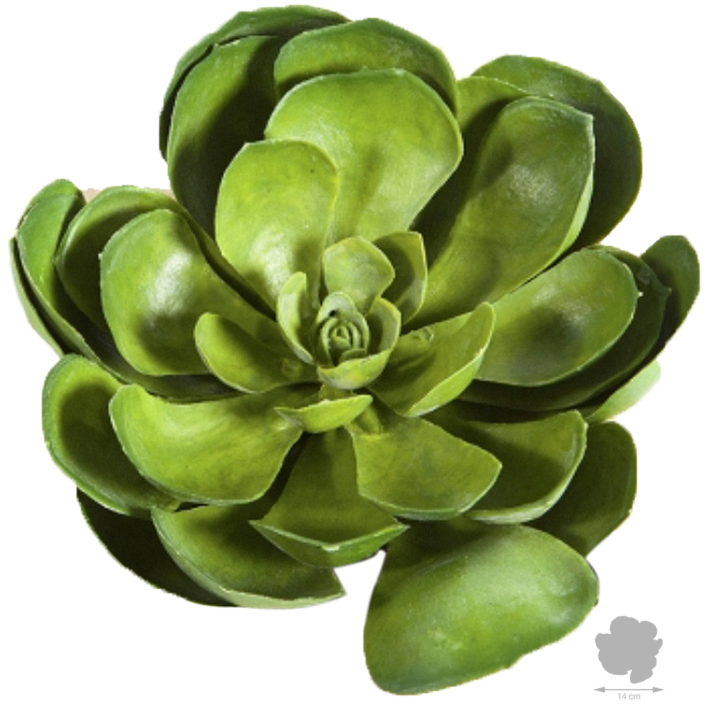 Planta artificiala Planta artificiala suculenta D14 cm – Roberto Rossi